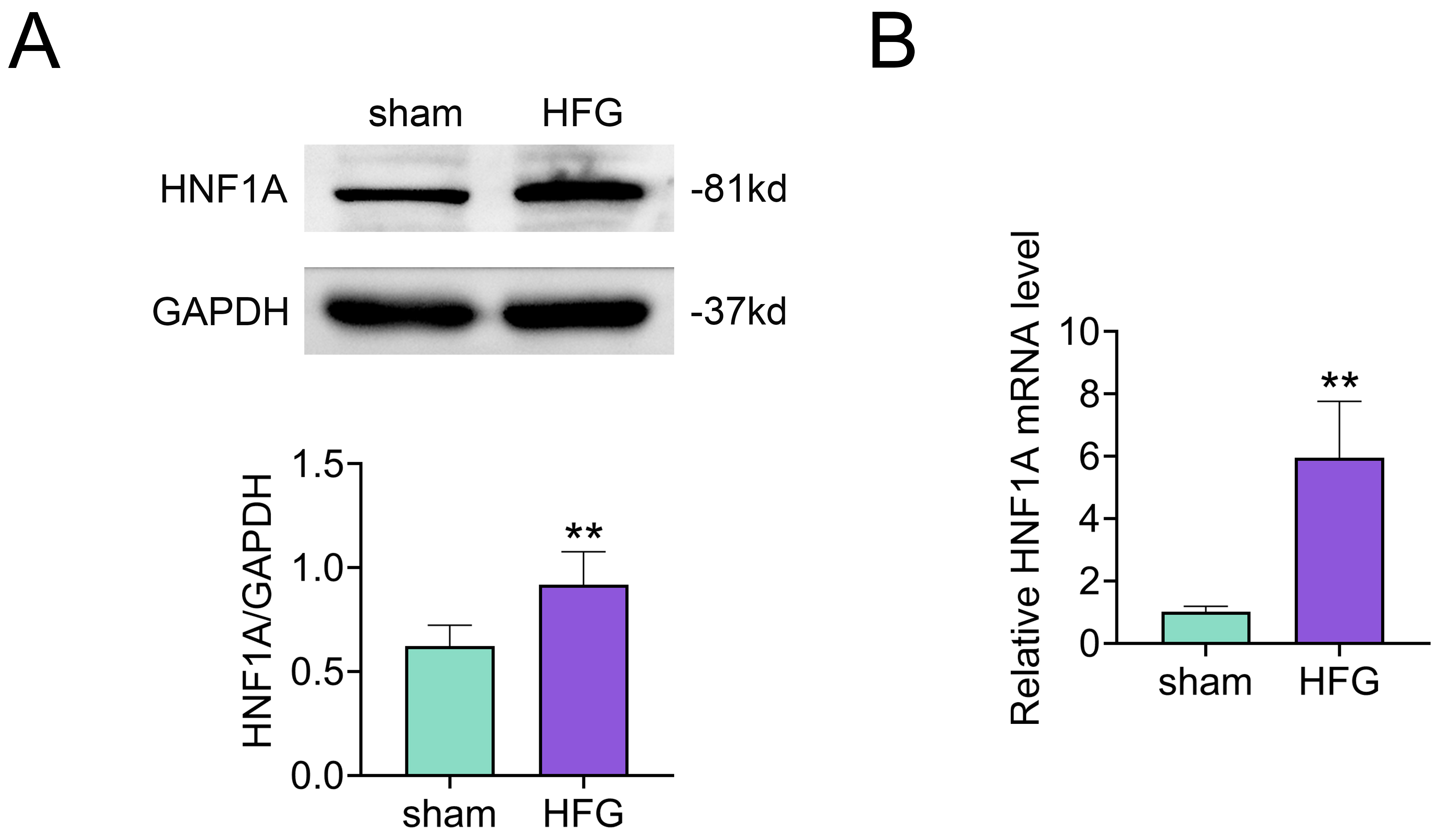 Journal of Men's Health
